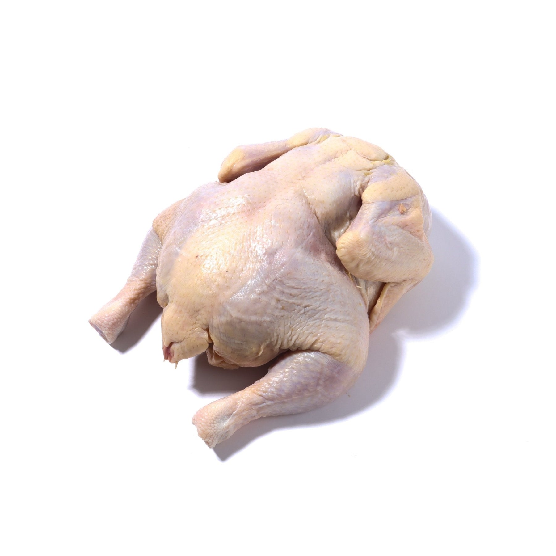 Chicken – Homegrown Butchery